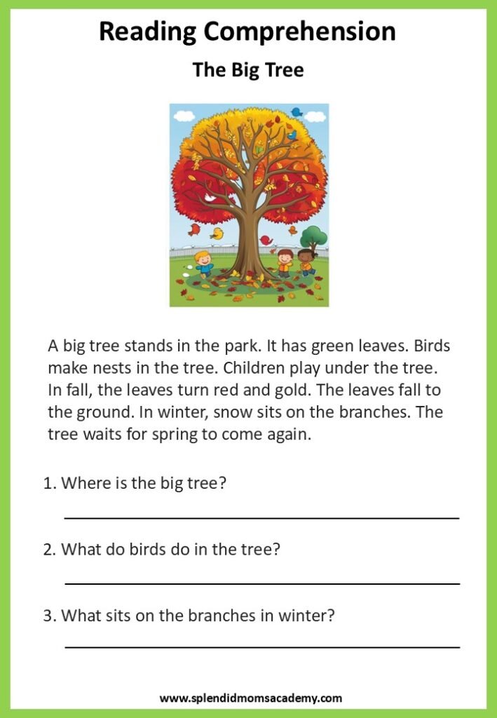 Reading Comprehensions Grade1