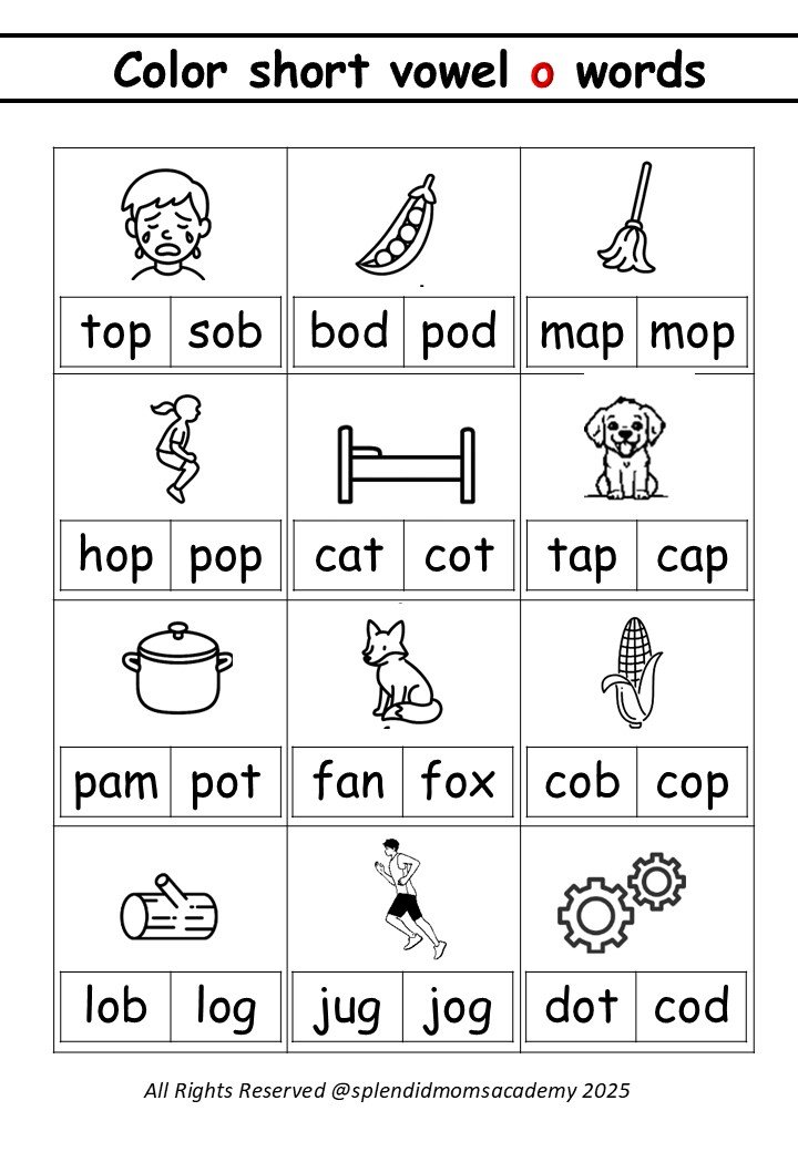 Phonics Short Vowel o CVC Free Worksheets