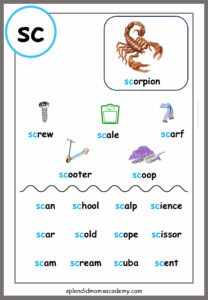 Beginning Blends - Letter s Blends