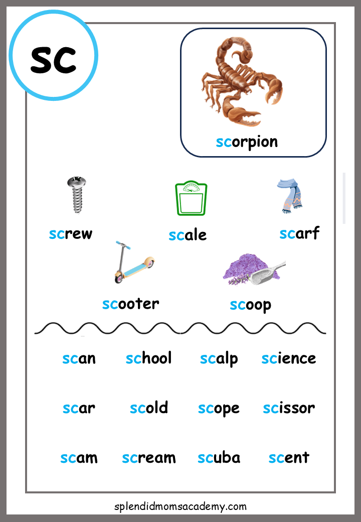 Beginning Blends - Letter s Blends